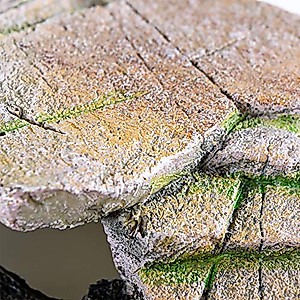 PENN-PLAX Reptology Shale Scape Step Ledge & Cave Hideout – Decorative Resin for Aquariums & Terrariums – Great for Reptiles, Amphibians, and Fish – Medium