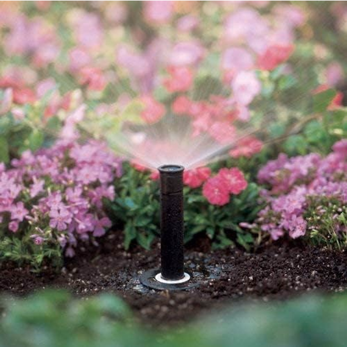 Rain Bird 1804 Spray Head with 15van Nozzle; 0° to 360° Adjustable; 15' Radius (Pack of 5)