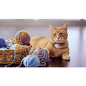 9Lives Plus Care Dry Cat Food, 12 lb. Bag