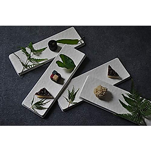 WASARA DM-014R Long Plate, White, 11.8 inches (30 cm), 6 Pieces