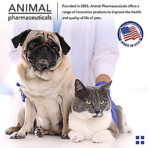 Animal Pharmaceuticals ZM-Ultra Complete Joint Support Soft Chews - Glucosamine Chondroitin for Dogs & Cats - Hip and Joint Health & Mobility Support Supplement - 60 ct