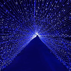 MYGOTO led String Lights 500LED 165ft Indoor/Outdoor Fairy String Lights 30V 8 Modes Christmas Lights for Home, Christmas Tree, Wedding Party, Room,Wall Decoration, Indoor&Outdoor(Blue+White)