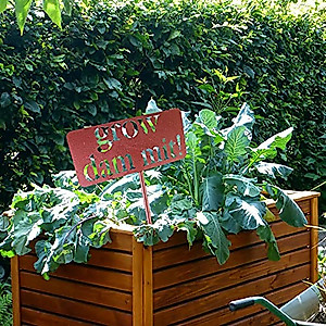 Rustic Garden Signs, Grow Dammit Garden Decor Sign for Garden, Funny Gardening Gift for Men Women Who loves Garden Plant