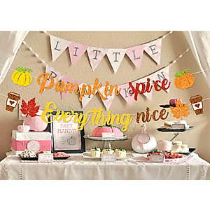 Pumpkin Spice and Everything Nice Banner Decor, Inspirational Autumn Sign, Autumn Fall Bulletin Board Decorations for Thanksgiving, Fall Party Decorations for Home Mantle Fireplace,Fall Harvest Banner