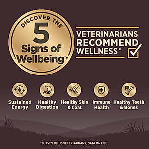 Wellness CORE Wholesome Grains Puppy Recipe, 12 Pound Bag