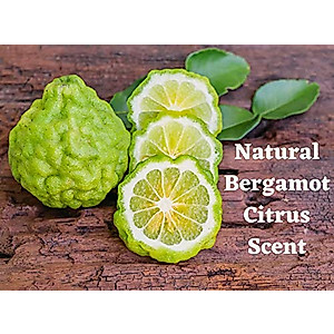 Foster and Lake - BERMOTTI After Shave, 2 Pack - 4 oz- No Burn & All Natural Soothing Skin Moisturizer