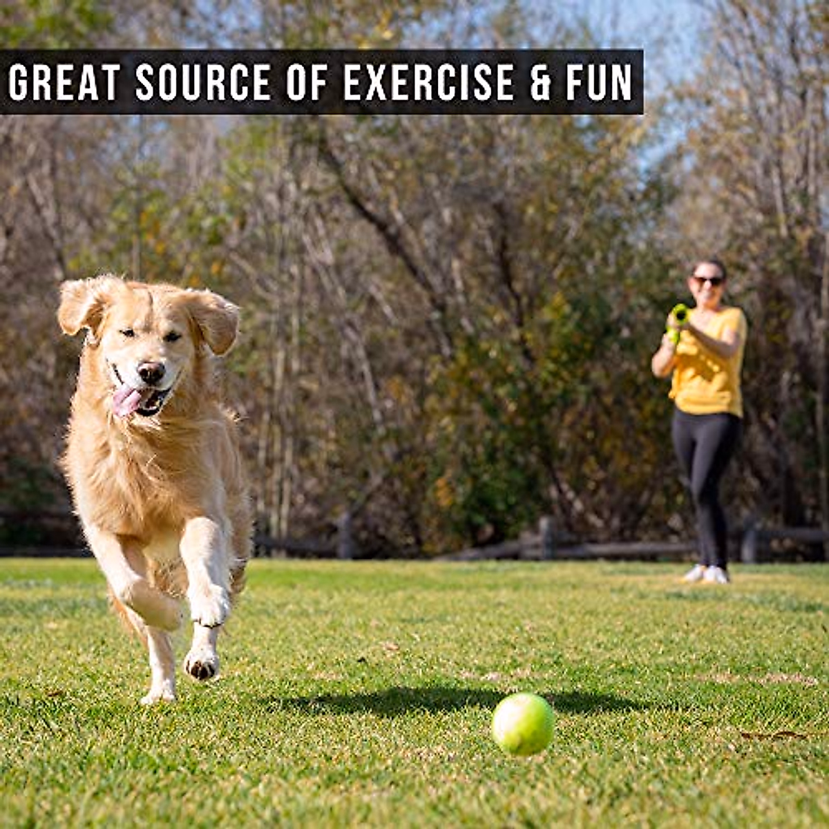 Hyper Pet Dog Ball Launcher, Dog Ball Thrower-Interactive Dog Toys (Load & Launch Tennis Balls for Dogs to Fetch) [Best Dog Ball Launcher for Large & Medium Dogs]