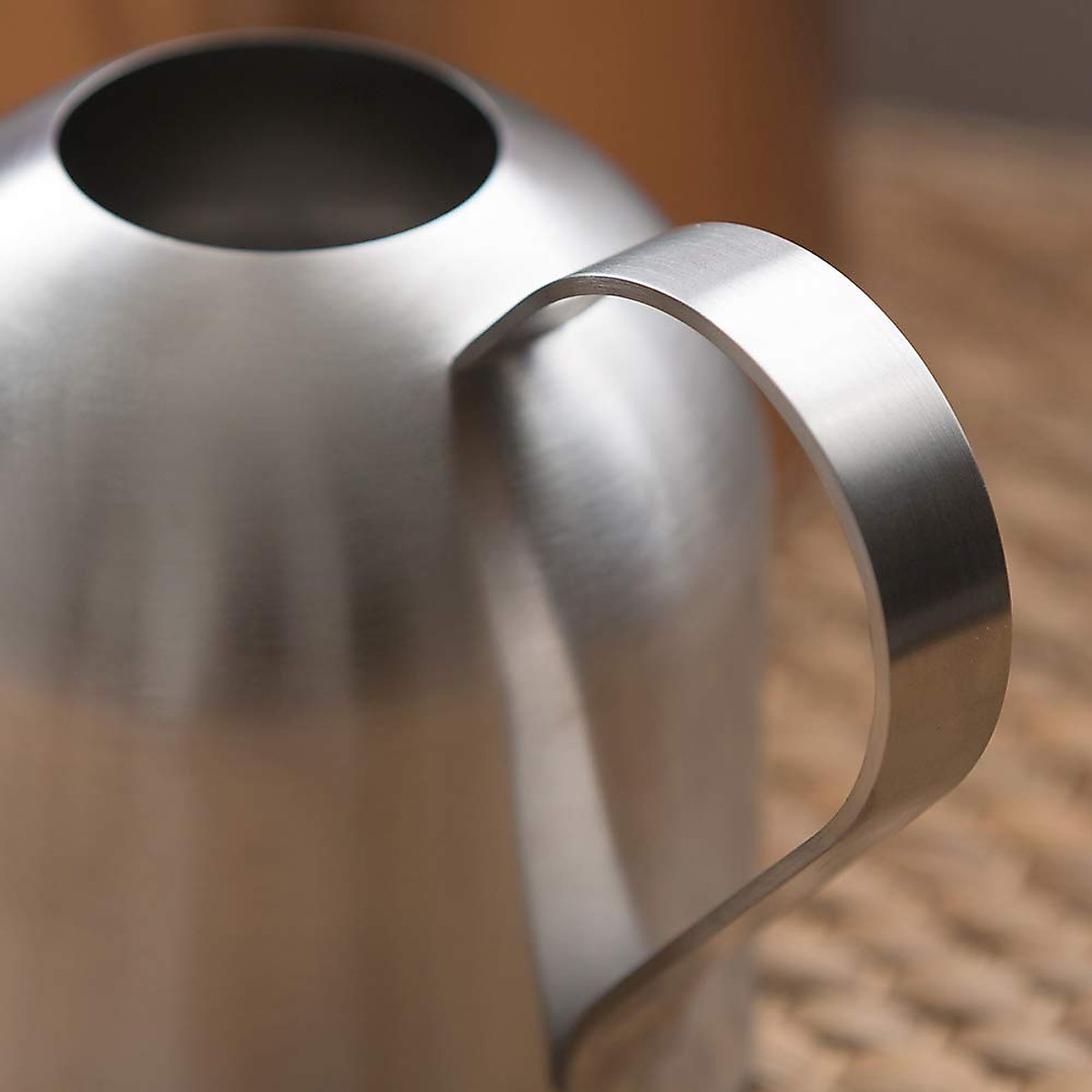 E.Palace Stainless Steel Water Can for Indoor Plants and Garden (15 oz)