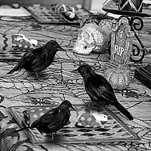 JOYIN 6 Pcs Crow Raven Halloween Decoration Indoor Outdoor Decor, Black Fake Crows Ravens Bird Props Haunted House Graveyard Cemetery Yard Table Decor Halloween Party Favors Desk Trees Walls Windows