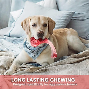 Dog Chew Toy, Beef Flavored Toy for Any Breed of Dogs