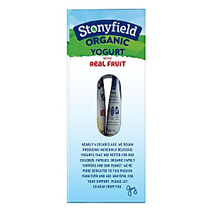 Stonyfield Organic Kids Strawberry Banana Lowfat Yogurt Pouches, 3.5 oz. Each, Includes Live Active Cultures, 4 count (pack of 1)