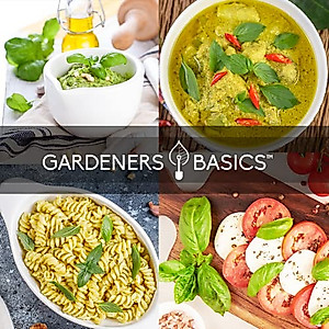 Basil Seeds for Planting Home Garden Herbs - 5 Variety Herb Pack Thai, Lemon, Cinnamon, Sweet and Dark Opal Basil Seeds Herb Seeds for Indoors, Outdoors, Hydroponics & Aquaponic by Gardeners Basics