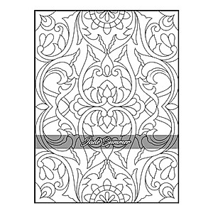 100 Amazing Patterns: An Adult Coloring Book with Fun, Easy, and Relaxing Coloring Pages