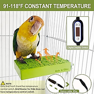 GIFANK Bird Heater for Cage Bird Perch Stand Warmer Snuggle Up for African Grey, Parakeets, Parrots, Small Birds 12V 3.3"x6"