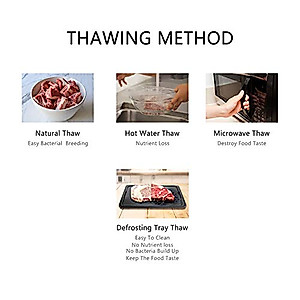 PENGUIN FAMILY Thawing Plate for Frozen Foods Aviation Aluminum Safe Material Thaw Faster No Electricity No Chemicals No Microwave Non-Stick Defrosting Tray