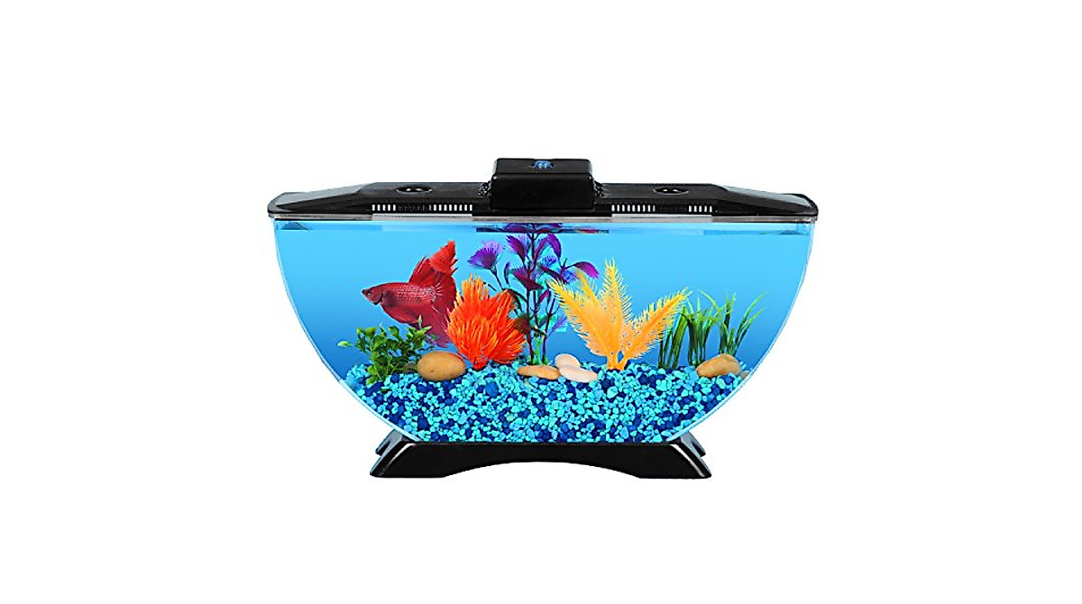 Koller BettaTank 1-Gallon Fish Tank with LED Features