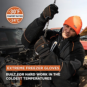 RefrigiWear Thinsulate Insulated PolarForce Gloves with Grip Assist and Performance Flex (Black, Large)