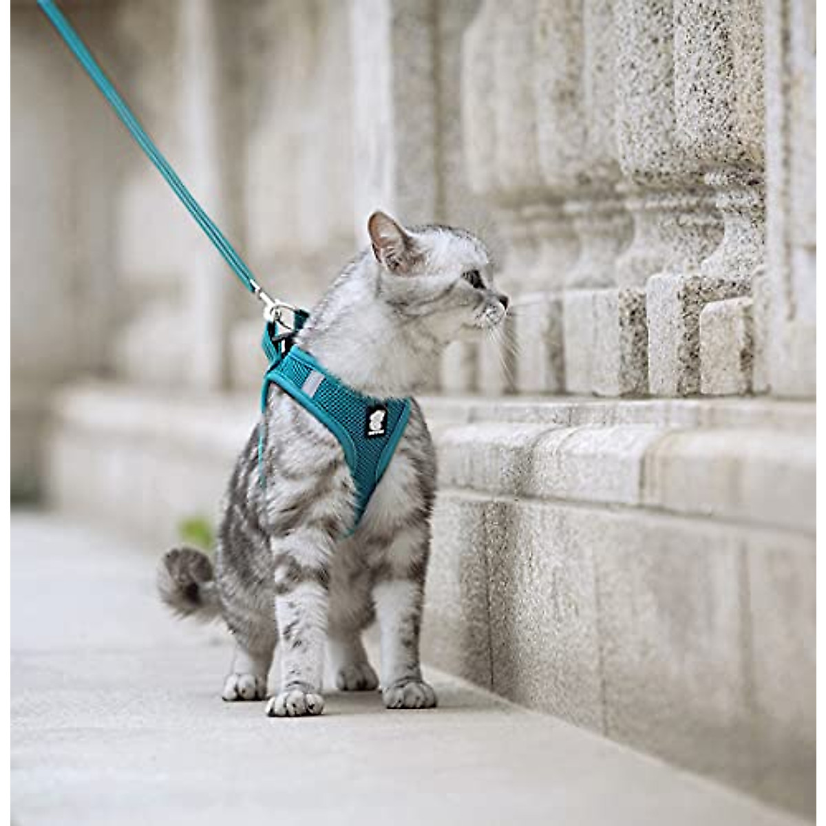 FDOYLCLC Cat Harness and Leash Set for Walking Escape Proof, Step-in Easy Control Outdoor Jacket, Adjustable Reflective Breathable Soft Air Mesh Vest for Small, Medium, Large Kitten (Turquoise, L)
