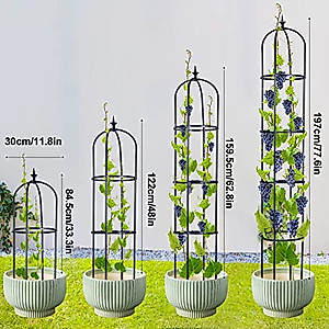 Garden Trellis for Climbing Plants, Tower Obelisk Garden Trellis 6.5ft Tall Plant Support Vine Supports Plant Tower for Climbing Vines and Flowers Stands 1 Pack