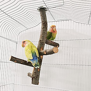 kathson Parrots Perch Natural Fruit Wood Stand Toy Branch Paw Grinding Standing Climbing Toy Cage Accessories for Small and Medium Birds,Parakeets,Lovebirds,African Grey,Cockatiels