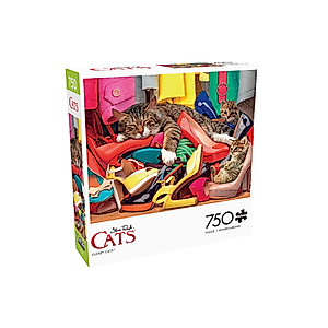 Buffalo Games - Steve Read - Steve Read - Closet Cats - 750 Piece Jigsaw Puzzle for Adults Challenging Puzzle Perfect for Game Nights - Finished Puzzle Size is 24.00 x 18.00