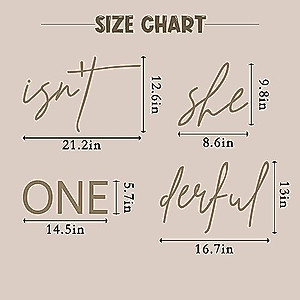 Isn't She Onederful First Birthday Party Theme Backdrop Sticker - Newborn Onderful Birthday Girl, Photography Background for 1st Birthday Baby Party Decoration(isnt she Onederful)