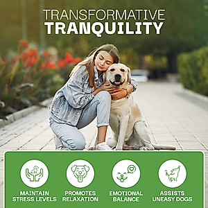 Nautical Nourish Calming Bacon Dog Treats - Help Relief Anxiety, Balance Stress Levels and Overall Mood, Supports Relaxation for Dogs, 30 Count