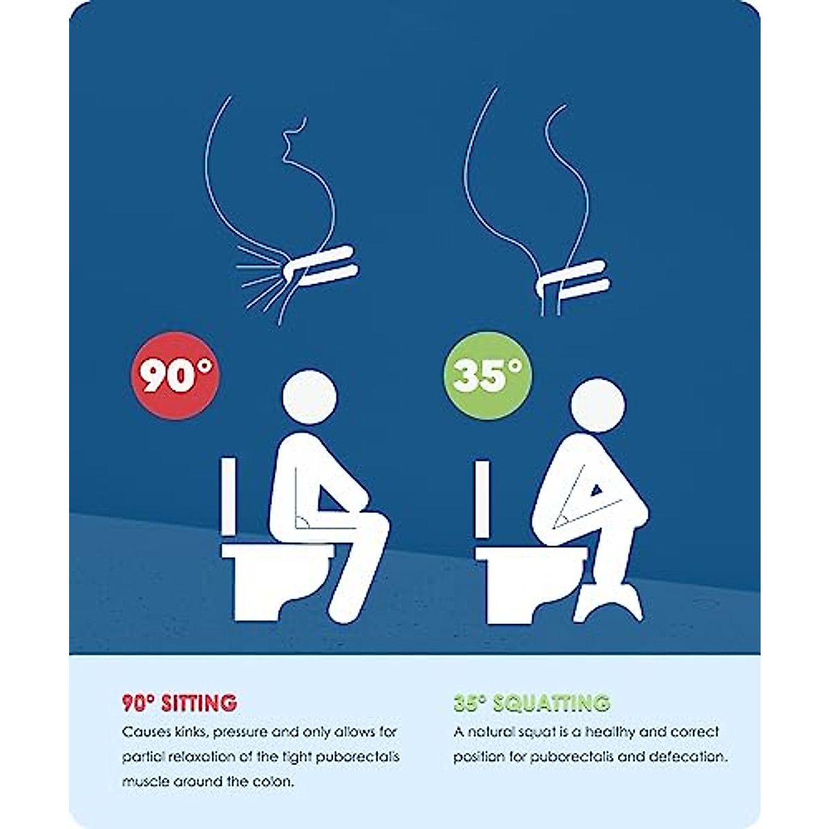 Ergonomic Bathroom Toilet Stool for Healthier Bowel Movements - Easy-to-Use Poop Stool Improves Digestion and Reduces Constipation Comfort Suitable for Adults & Kids Compatible for squatty Potty