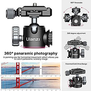 Portable Desktop Mini Tripod PICTRON MT-24 Compact Camera Tripod Aluminum Alloy with 360° Ball Head,1/4 inches Quick Release Plate for DSLR Camera Video Camcorder, Load up to 11lbs/5kg