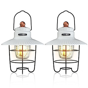 EverBrite LED Camping Lantern Pack of 2, USB C Rechargeable Lantern with 3 Light Modes, Vintage Outdoor Lanterns with Power Bank Function for Power Outages, Hurricane, Emergency, Fishing