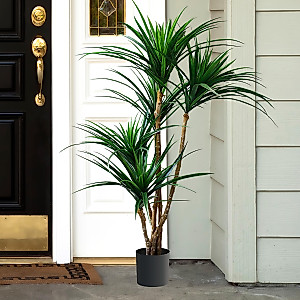 Pure Garden Artificial Tree - 51-Inch Tropical Yucca Plant with Rubber Leaves and Natural Trunk for Living Room, Bedroom and Office - Faux Plants