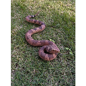 HOHAJIU Fake Snake Toy Realistic Rubber Snake Toy 10.3" Rattlesnake Figurine Scare Birds, Prank Props for Halloween Party, Gag Gift for April Fool's Day