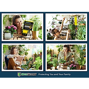 MaxGuard (30 Pack) Yellow Sticky Hanging Traps - Catch and Kill Fungus Gnats, Whiteflies, Mosquitos, Aphids, Leaf Miners, Flying Insect Catcher Glue Trappers for Indoor or Outdoor