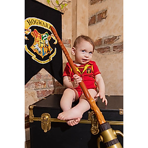 Warner Bros. Harry Potter Baby Boys' 5-Pack Bodysuits Hogwarts Gryffindor (3-6 Months)