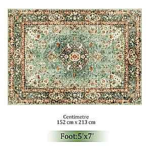 Castage 5x7 Area Rugs Washable,Green Rug for Living Room Bedroom Kitchen,Large Boho Vintage Bohemian Distressed Oriental Carpet Non Slip