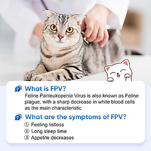 PawsXfun Cat Healthy FPV Test Kit for Cats - Accurate & Quick 5-Pieces Home Detection in Feces in 5-10 Minutes! Easy to Use Non-Invasive Early Diagnosis Tool Suitable for All Breeds & Ages