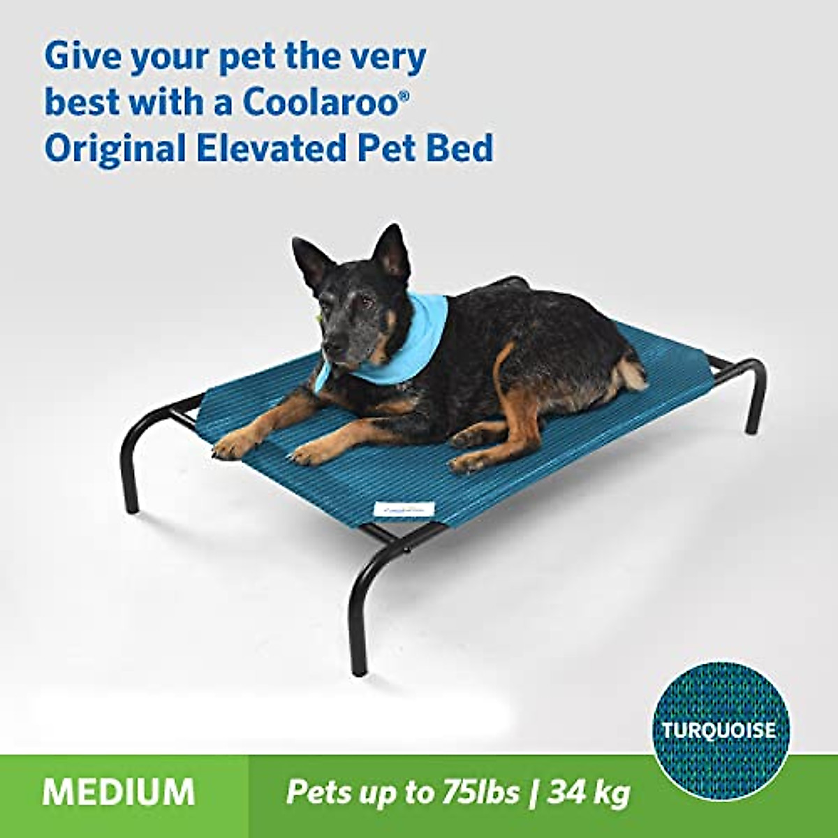Coolaroo The Original Cooling Elevated Pet Bed, Turquioise, Medium