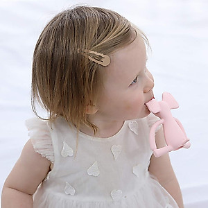 Baby Teether, Food Grade Silicone Baby Teething Toy, Infant teether chew Toy, Natural Organic, BPA Free, Multi-Texture Design Mushroom Teether, for Toddlers