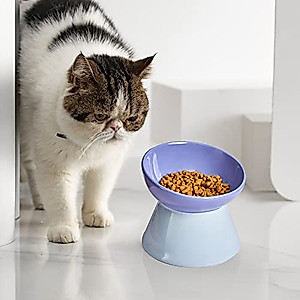 Y YHY Raised Cat Food Bowl, Tilted Elevated Cat Bowl 6 Inch Anti Vomiting for Food and Water Orthopedic Cat Bowls for Flat Faced Cats, Small Dogs, Protect Pet's Spine