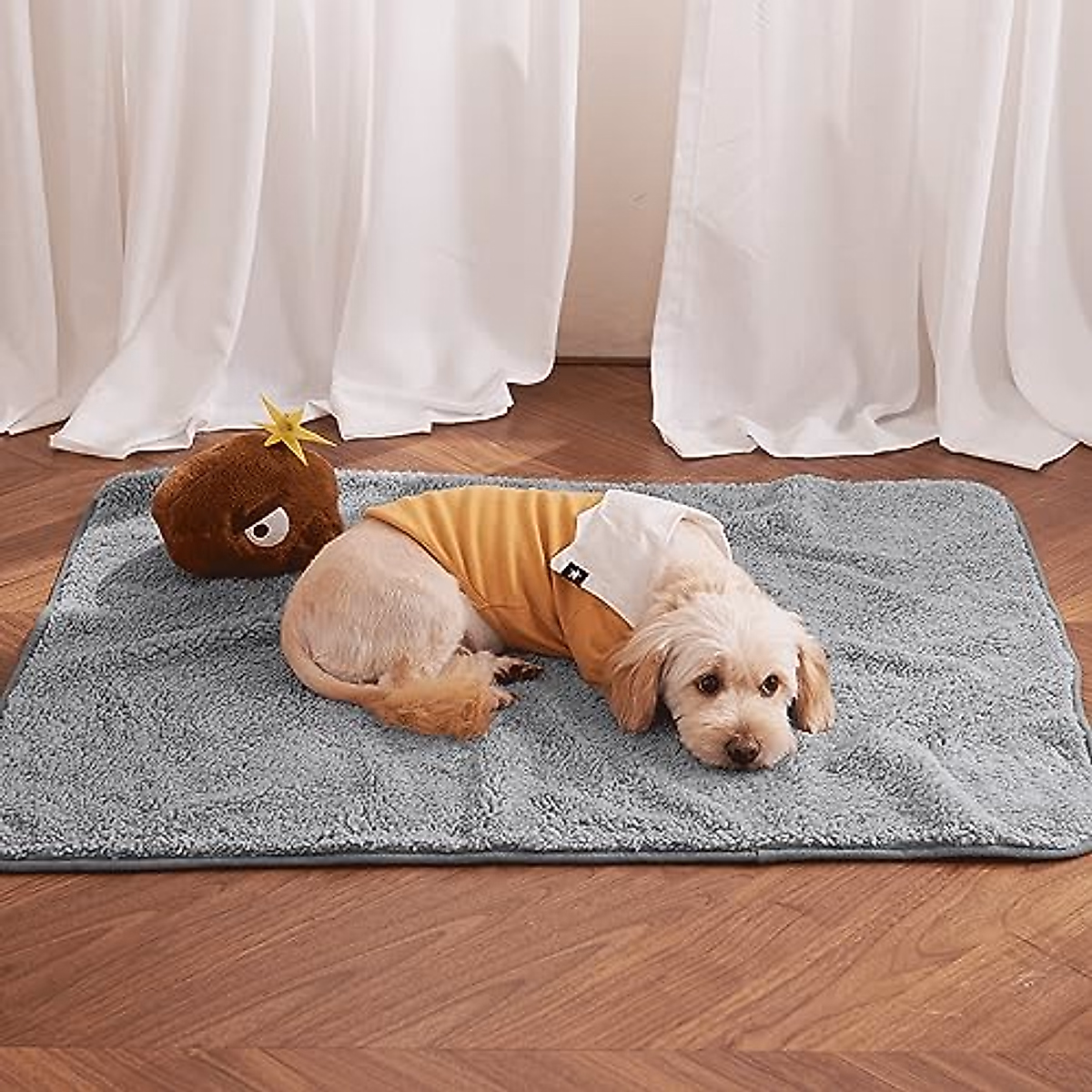 NICETOWN Dog Blanket for Small Medium Dogs Pet Day, Sherpa Soft Warm Pet Fleece Throw for Indoor Cats, Soft Blanket Furniture Protector Sofa Couch Bed Crate for Pet Lovers, Light Grey, 24x32