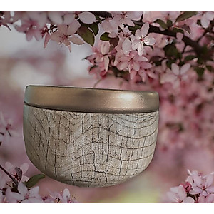 My Sweetheart Fruits and Sugared Citrus Scented Soy Wax Candle for Home Vul-Caa-Nu | 8oz 2 Wicks Recyclable Tins | Non Toxic Aromatherapy