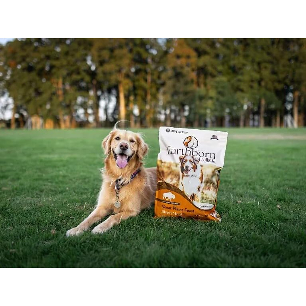 Earthborn Holistic Great Plains Feast Grain-Free Natural Dry Dog Food, 12.5 lb