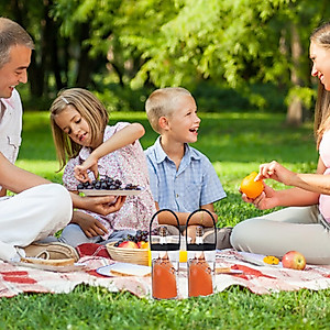 Pallesen 2 Pack Ice Wine Bag Portable Collapsible Clear Wine Pouch Cooler with Handle Wine Bottle Chiller Ice Bucket Tote for Outdoor, 750ml Standard Size Red Wine, White Wine, Cold Beer, Iced Drinks