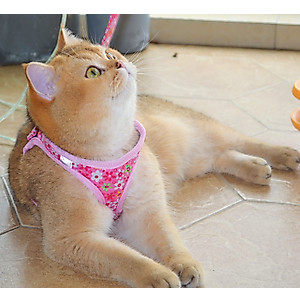 Moonpet Step in Air Dog Harness Leash Set- All Weather Reflective No-Pull Floral Pattern Padded Mesh Vest Harness for Cats Puppy Extra-Small Small Medium Large Dogs - Pink Flower - XXS