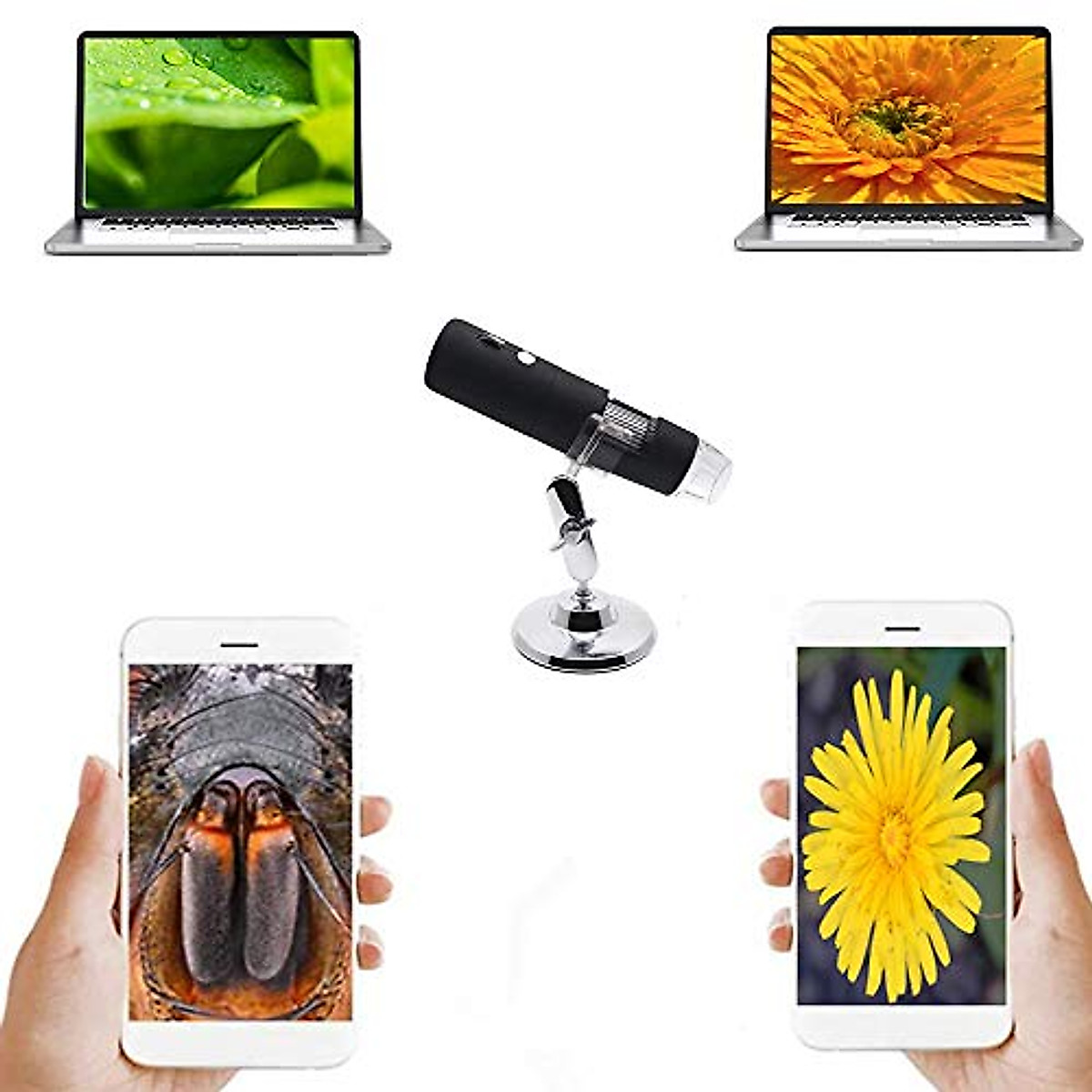 Wireless Digital Microscope USB Microscope Camera 50X to 1000X 8 LED Light WiFi Handheld Zoom Magnification Magnifier for PC, Android Smartphone, iPhone