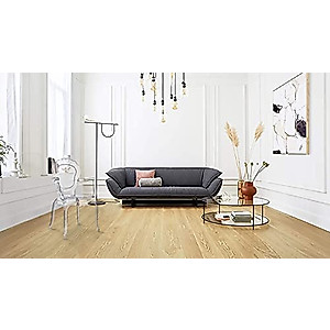 2xhome - Belle Style Ghost Chair Ghost Armchair Dining Room Chair - Armchair Lounge Chair Seat Higher Fine Modern Designer Artistic Classic Mold (Clear Jorge x1)