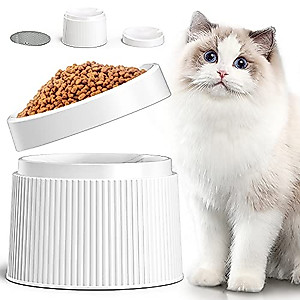 iPettie Elevated Cat Food Bowl Cat Dish, Tilted Pet Feeding Station with Stand for Small Dog, Made from Certified Food-Safe Plastics, Better Than Stainless Steel and Ceramic