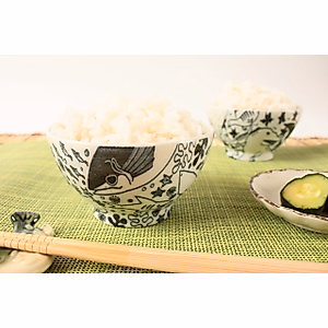 Mino ware Japanese Ceramics Rice Bowl Sea Creatures Matte Finish made in Japan (Japan Import) GBC003