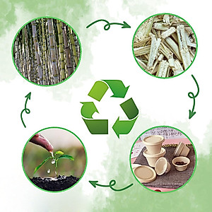 FUYCIEUM 150 Pieces Bagasse Fiber Souffle Cups with Lids, 4 Oz Biodegradable Sample Cups, Compostable Portion Cups for Condiment, Dips, Jams, Tomato Sauce, Snack, Honey, Nuts, Butter, Biscuits