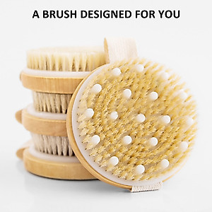 SetSail Dry Brushing Body Brush, Natural Nylon Bristles, Exfoliating, Cellulite Reduction, Lymphatic Drainage, Improve Circulation